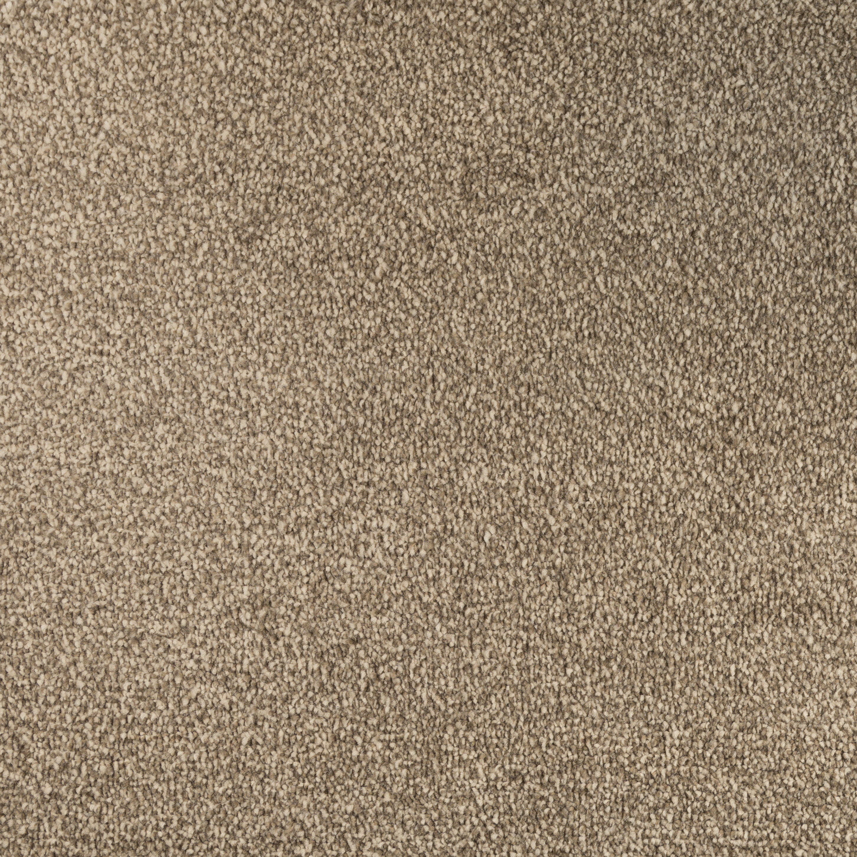 Truffle - Fells Carpets